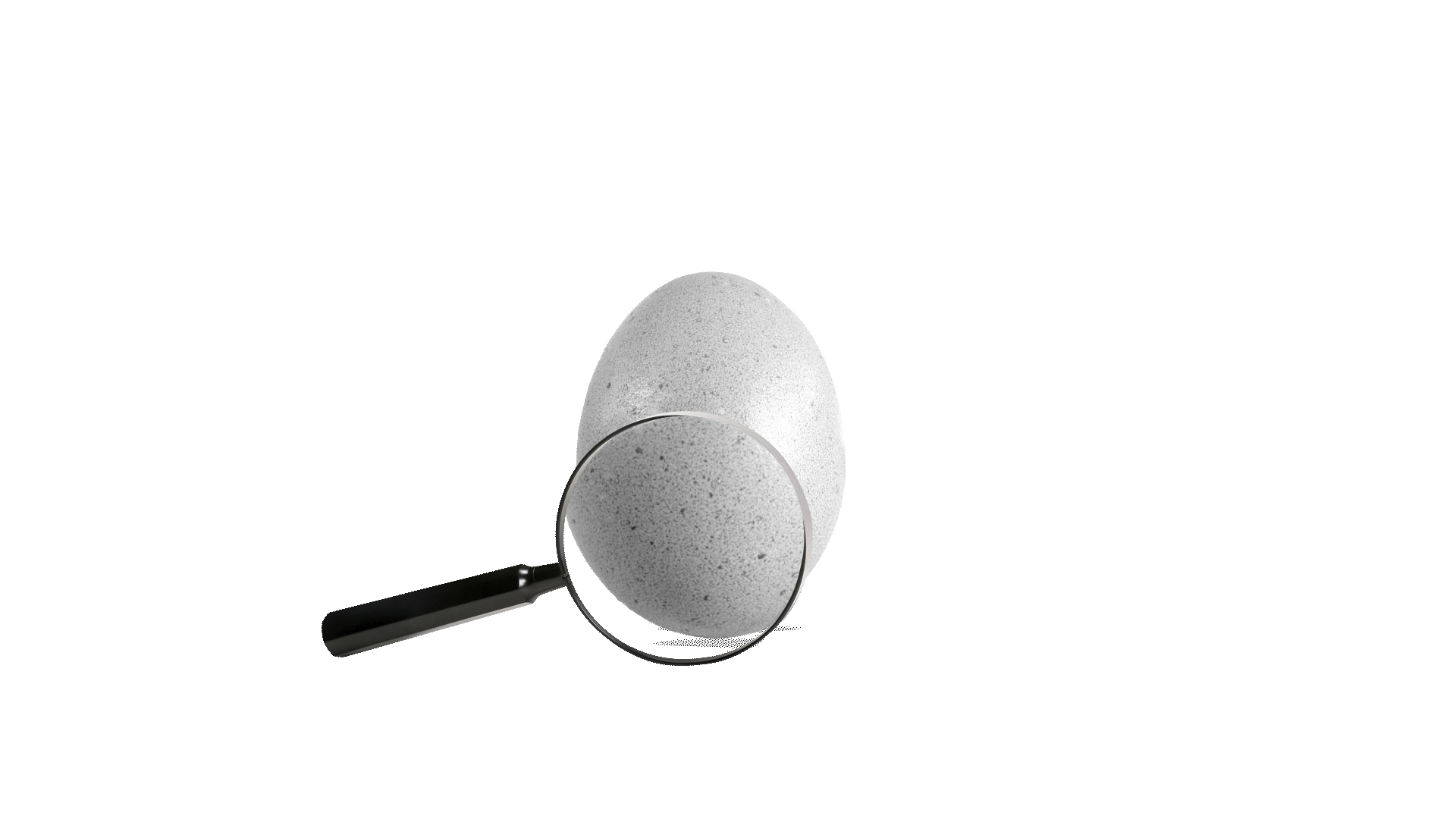 About us - Chicken breeding and production | Quality poultry ...